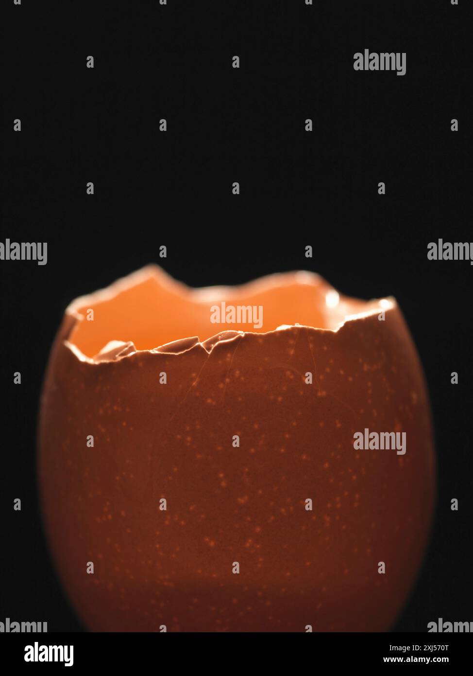 Empty egg shell Stock Photo - Alamy