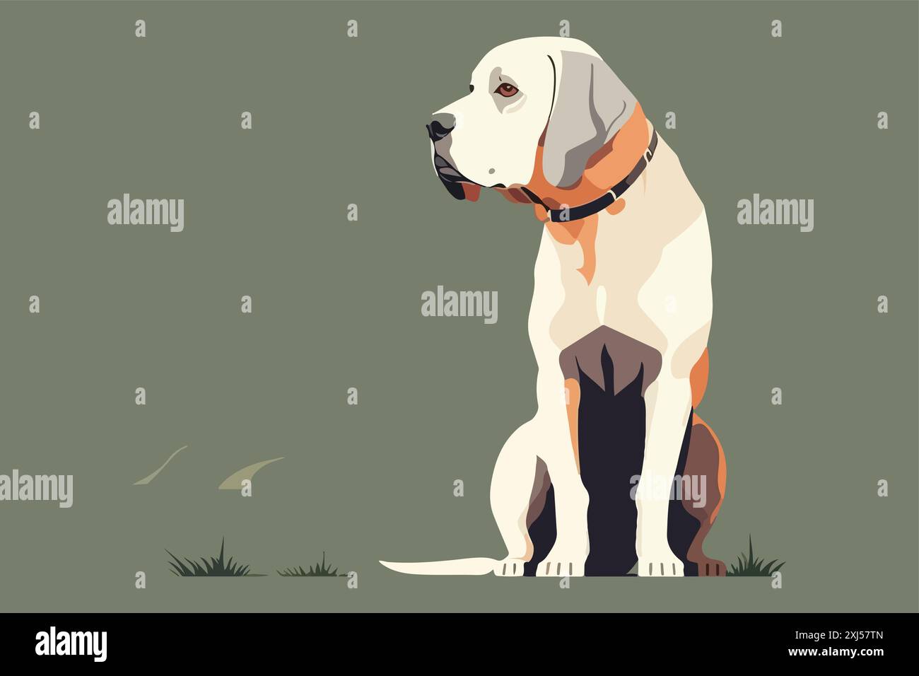 Old Dog vector illustration Stock Vector Image & Art - Alamy