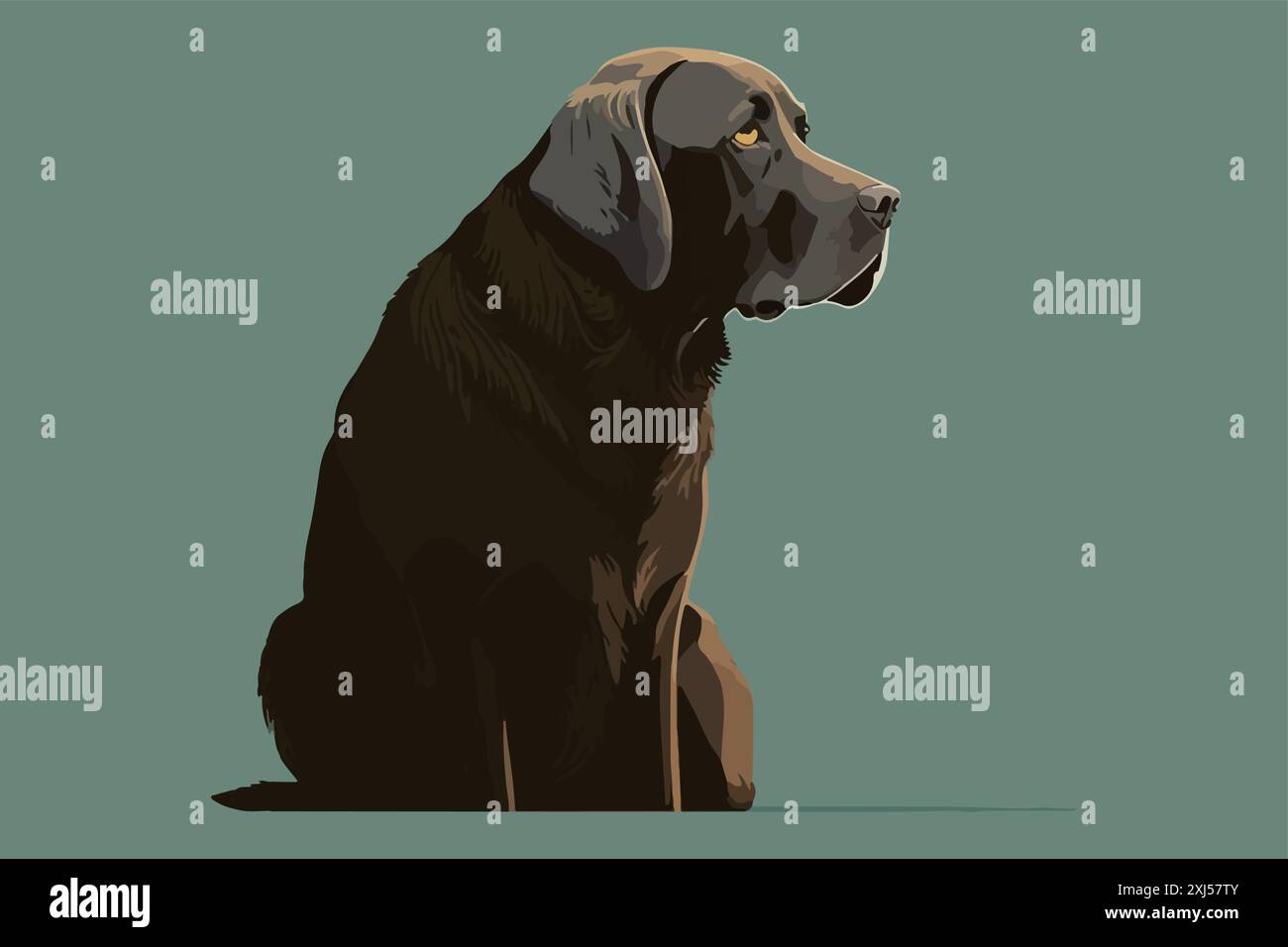 Old Dog vector illustration Stock Vector Image & Art - Alamy