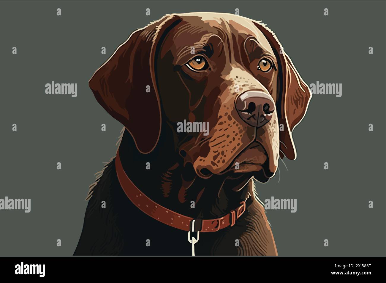 Old Dog vector illustration Stock Vector Image & Art - Alamy