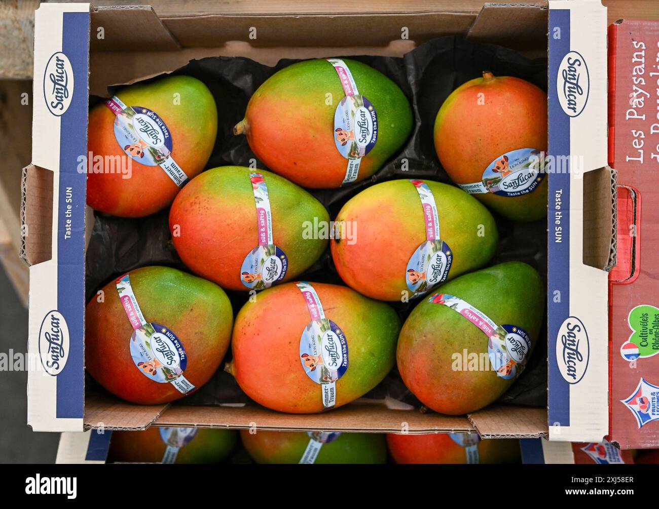 Vegetablies hi-res stock photography and images - Alamy