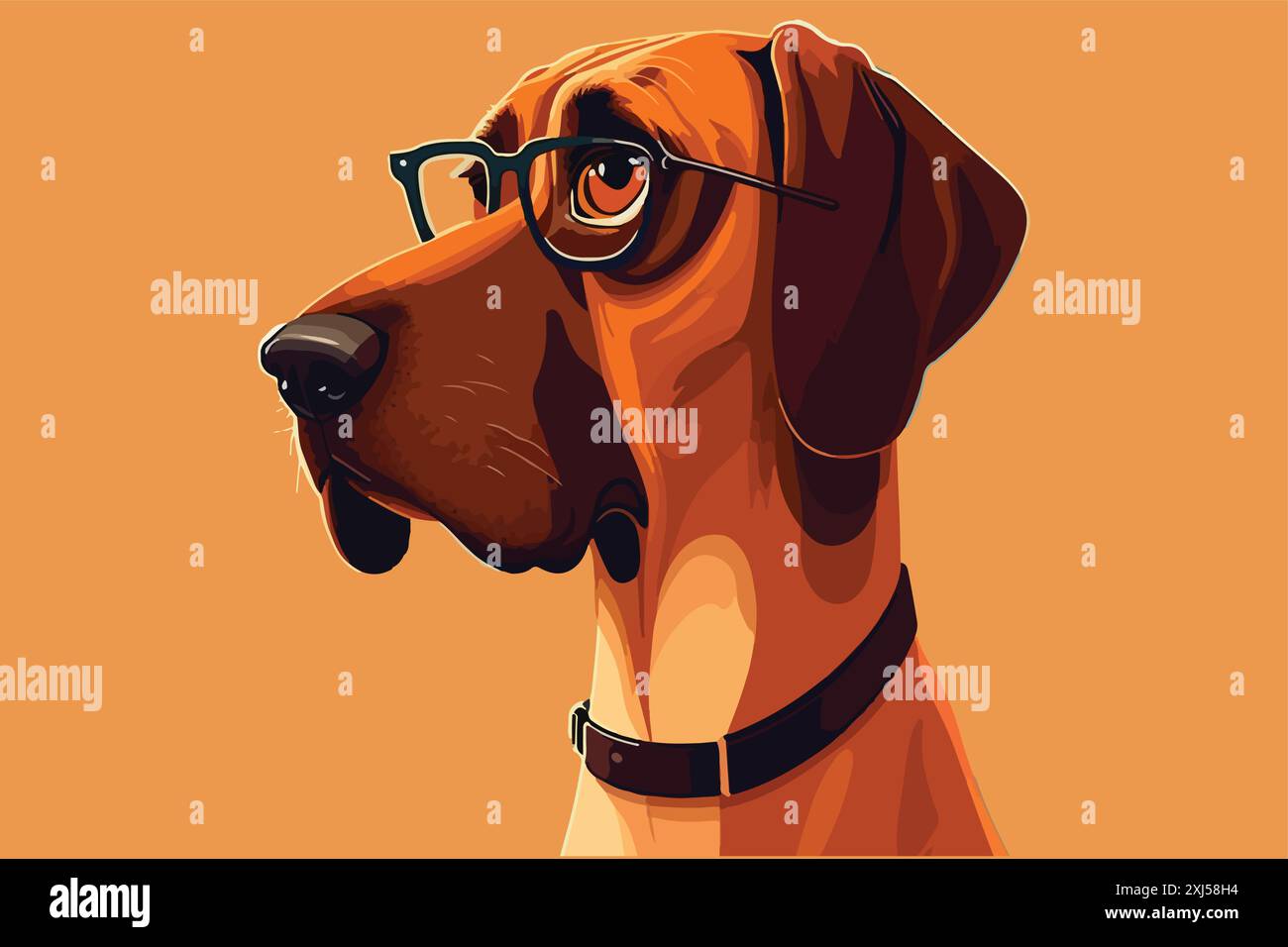 Old Dog vector illustration Stock Vector Image & Art - Alamy