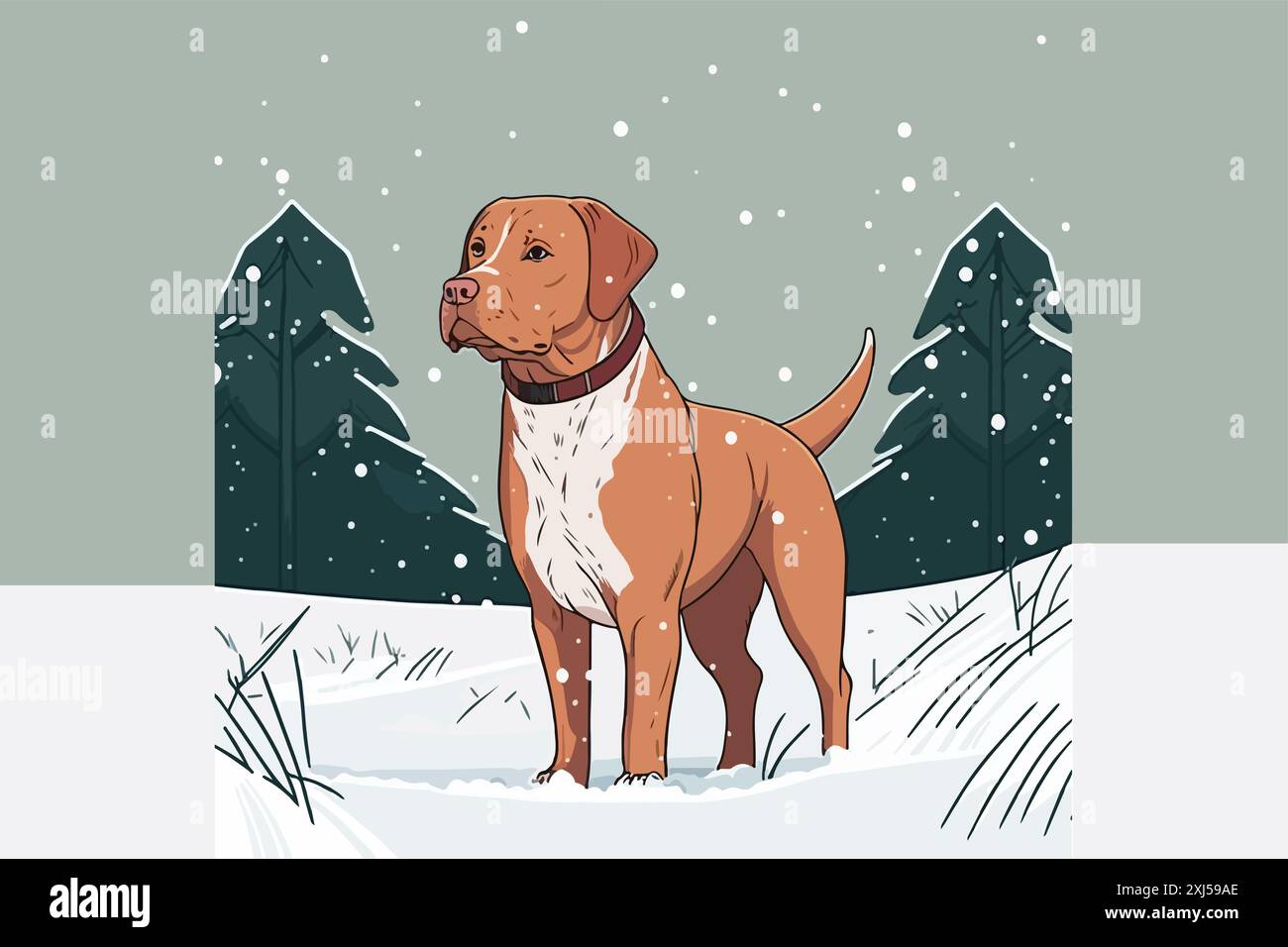 Dog winter vector illustration Stock Vector Image & Art - Alamy