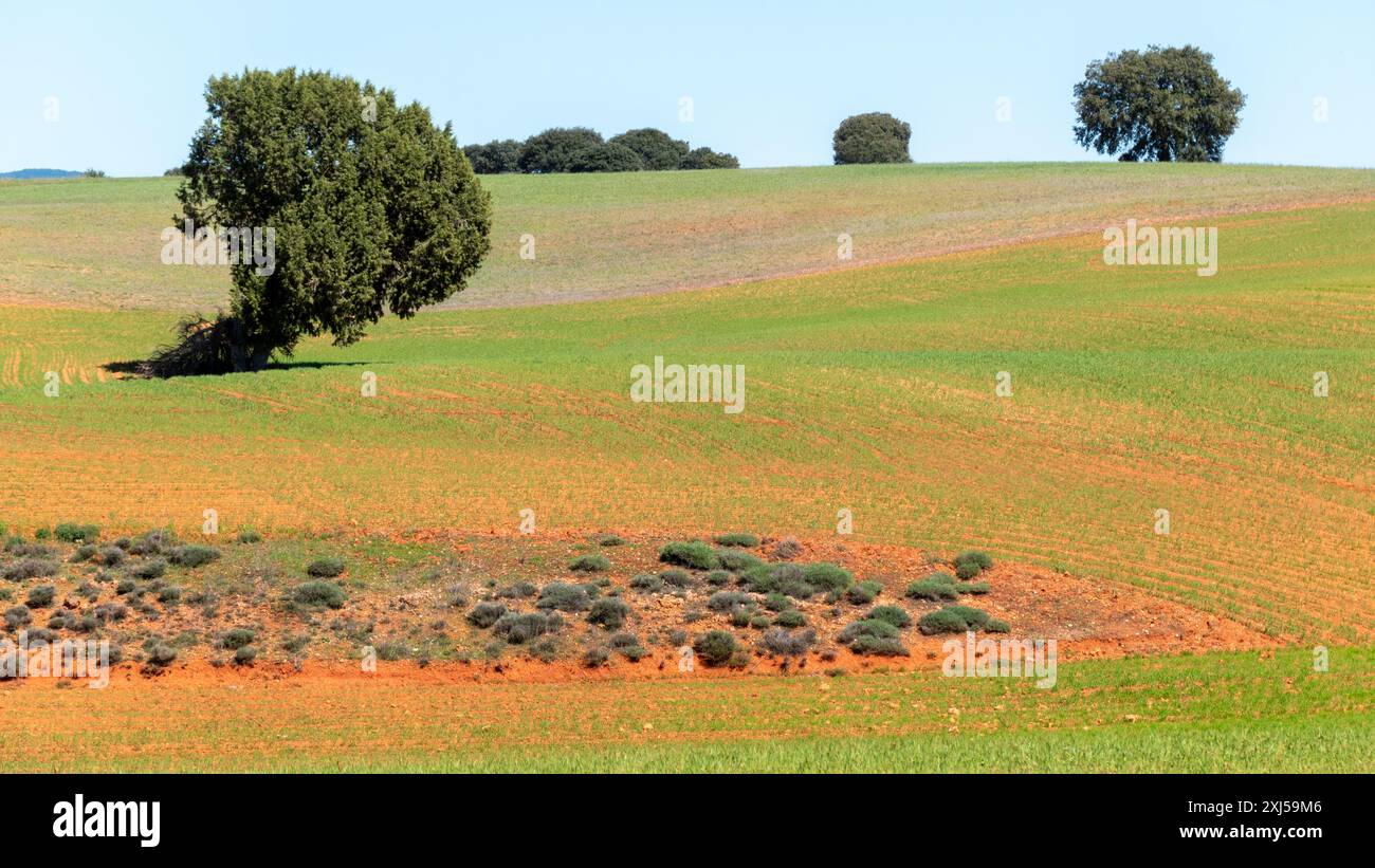 Rural tourism spain hi-res stock photography and images - Alamy