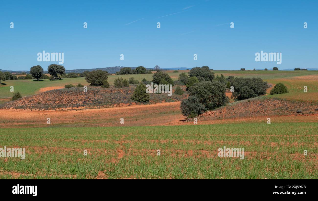 rural area of northern Spain Stock Photo - Alamy