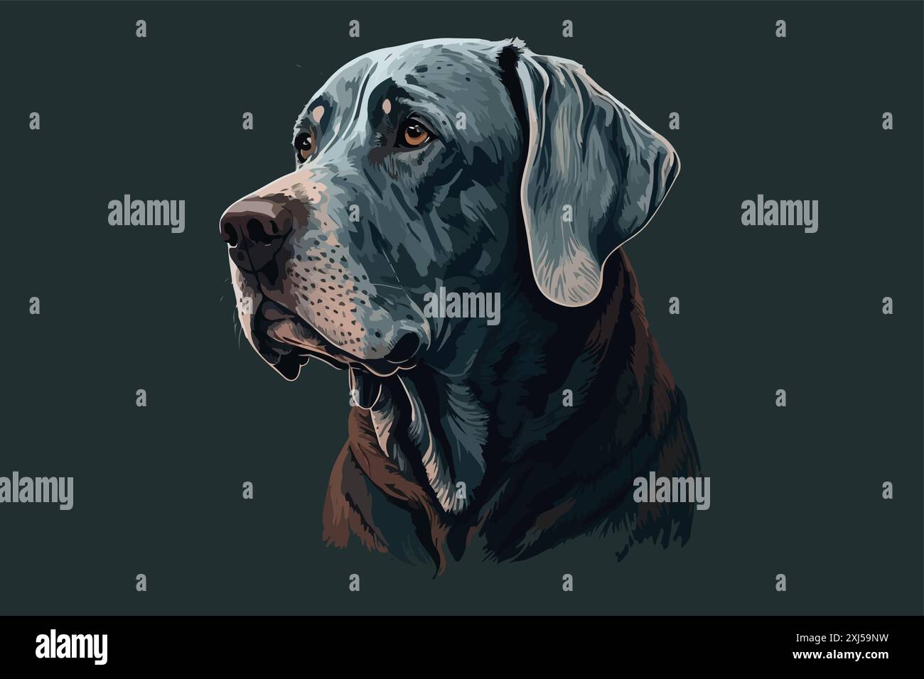 Old Dog vector illustration Stock Vector Image & Art - Alamy