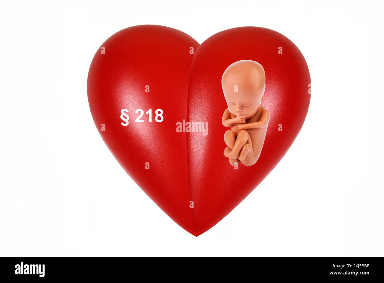 12 weeks fetus hi-res stock photography and images - Alamy