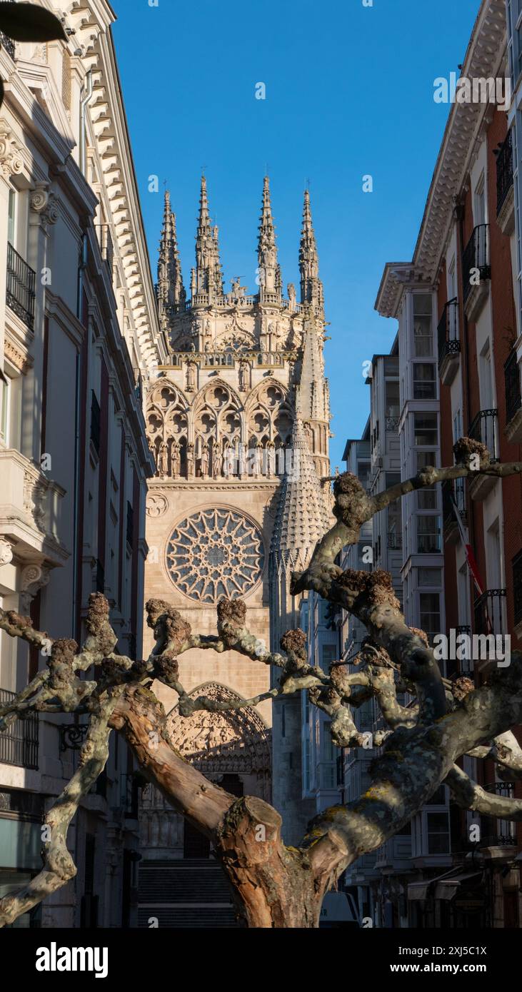 Holy religious heritage culture hi-res stock photography and images - Alamy