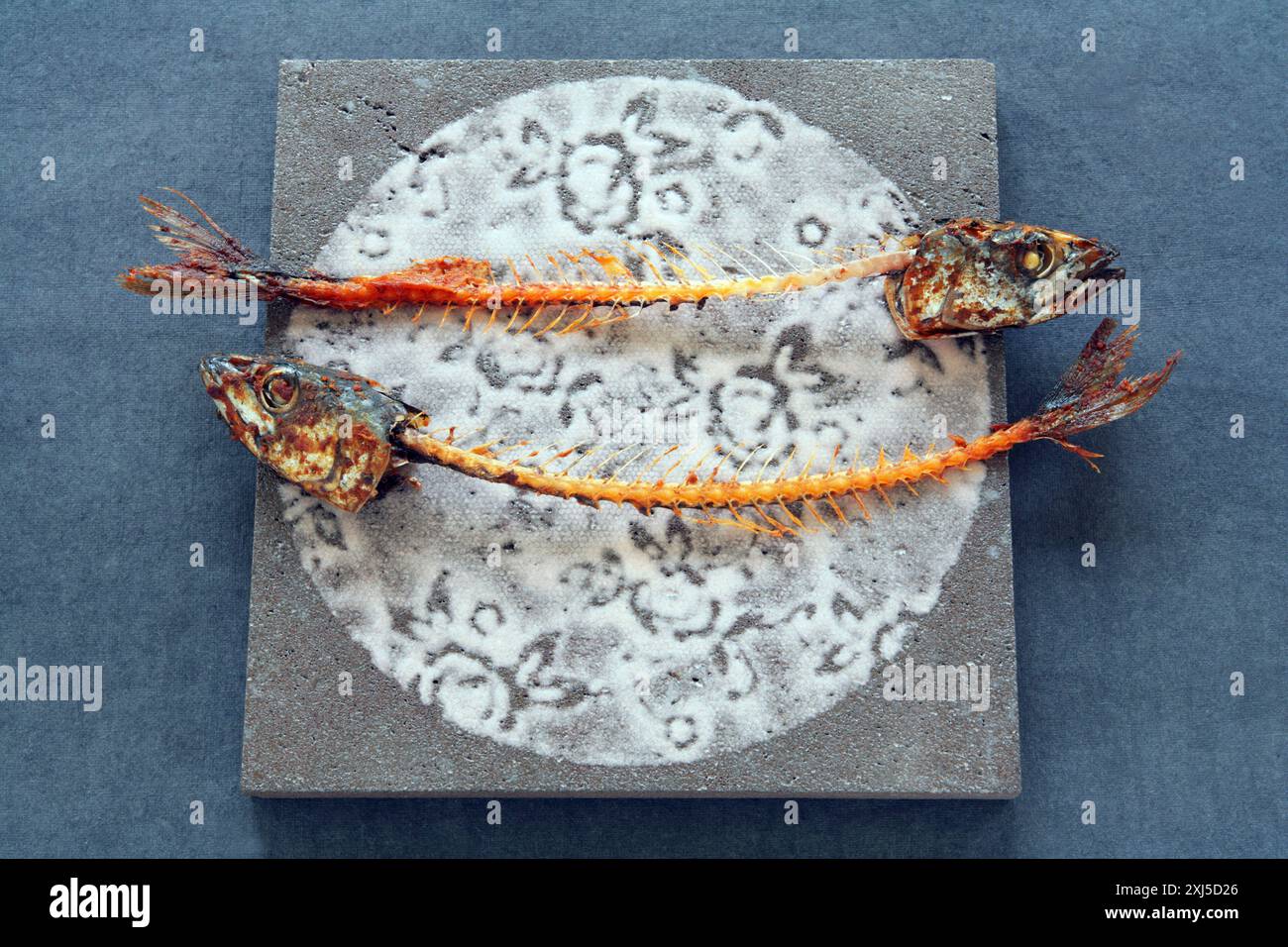 Mackerel bones hi-res stock photography and images - Alamy