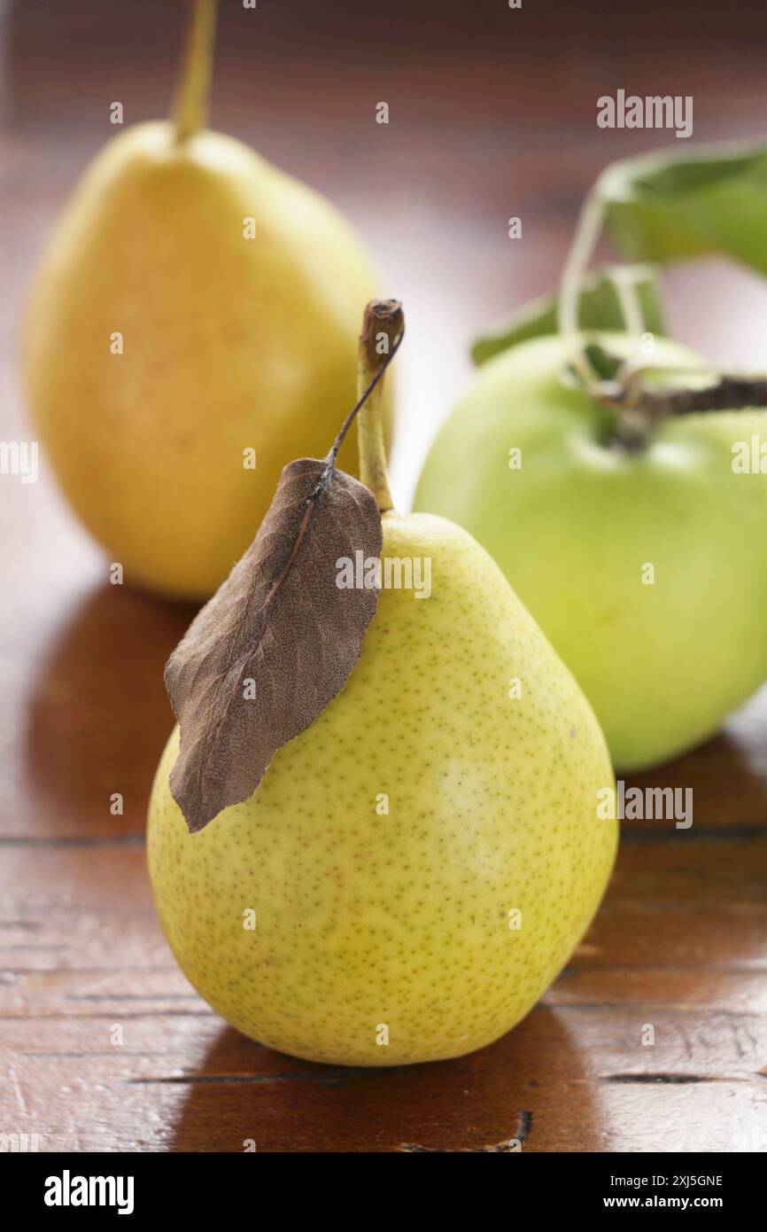 Louise davranches hi-res stock photography and images - Alamy