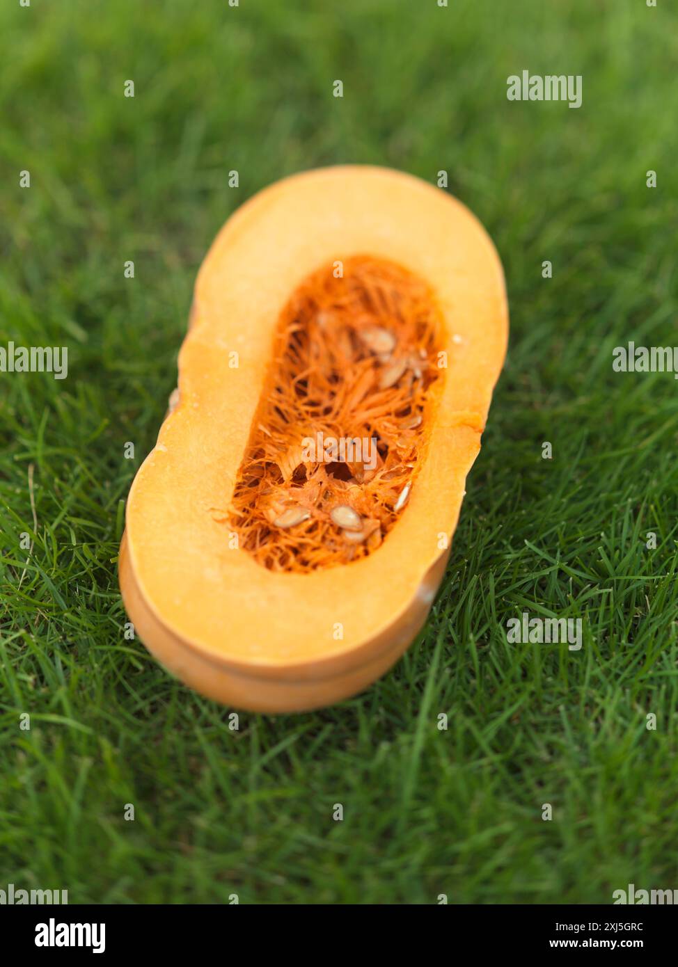 Half a pumkin Stock Photo - Alamy