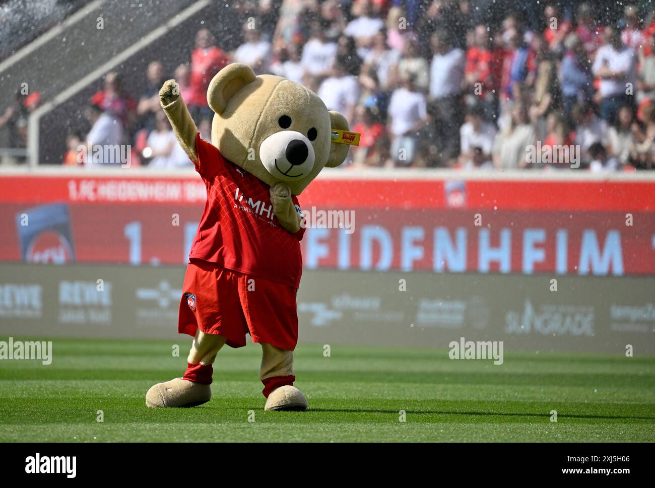 Mascot Paule 1. FC Heidenheim 1846 FCH Teddy, Teddy bear, Steiff, Logo ...