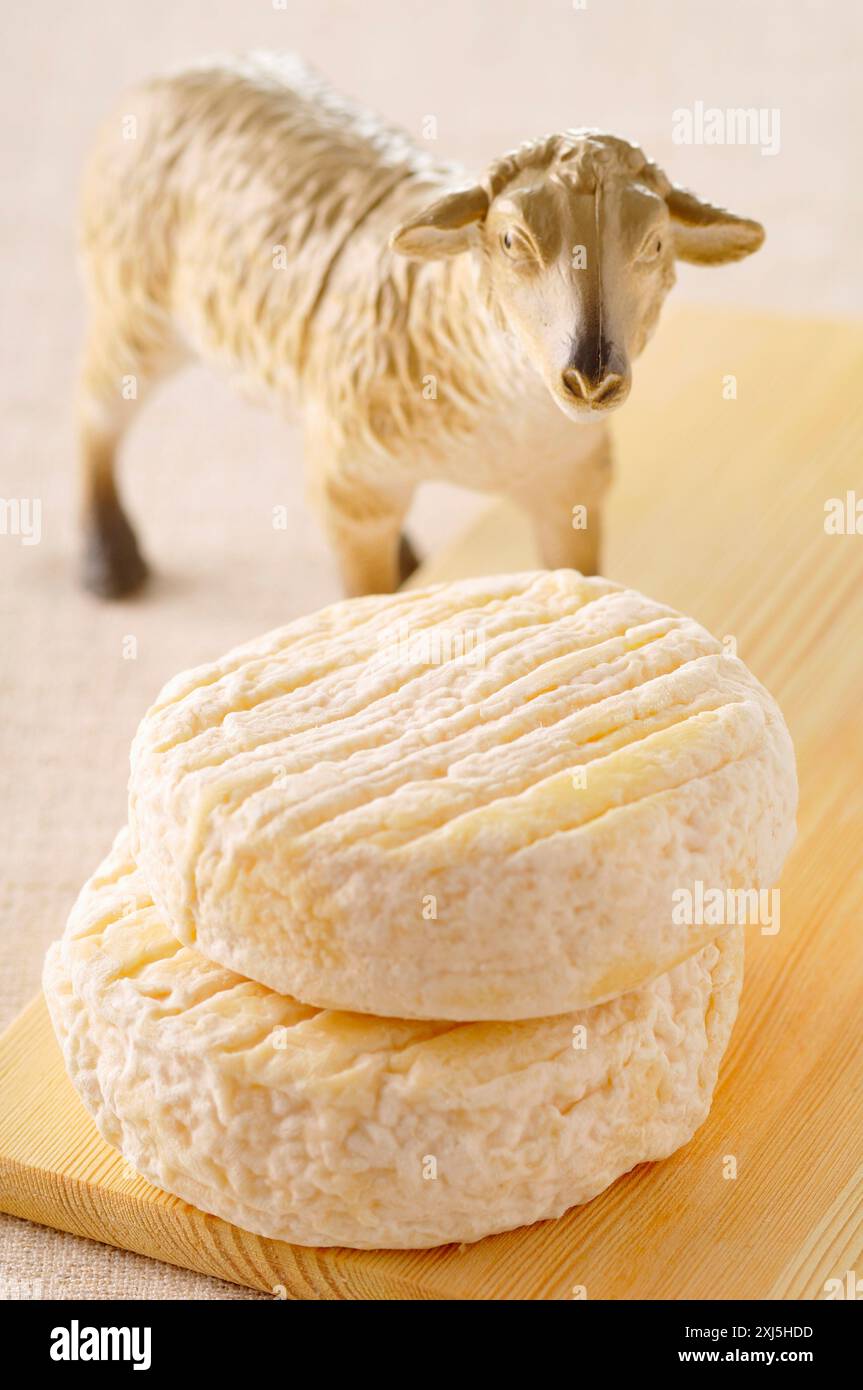 Ewes cheese hi-res stock photography and images - Alamy