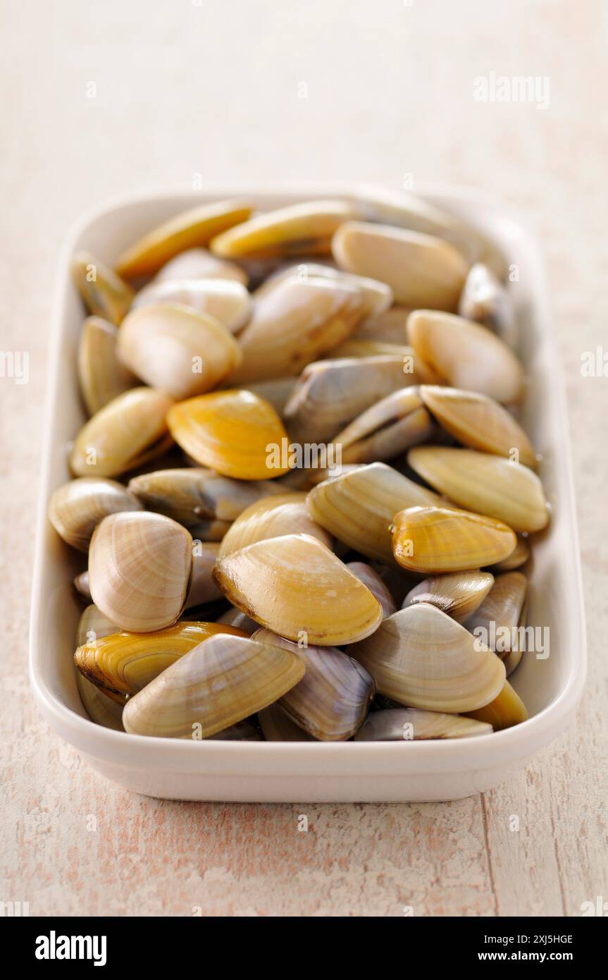 Tellin shell hi-res stock photography and images - Alamy