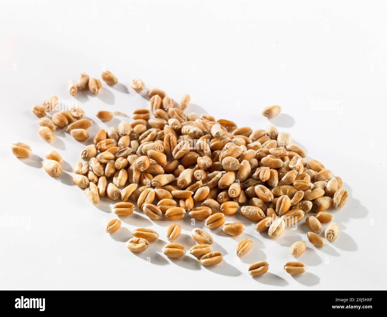 Wheat cut out hi-res stock photography and images - Alamy