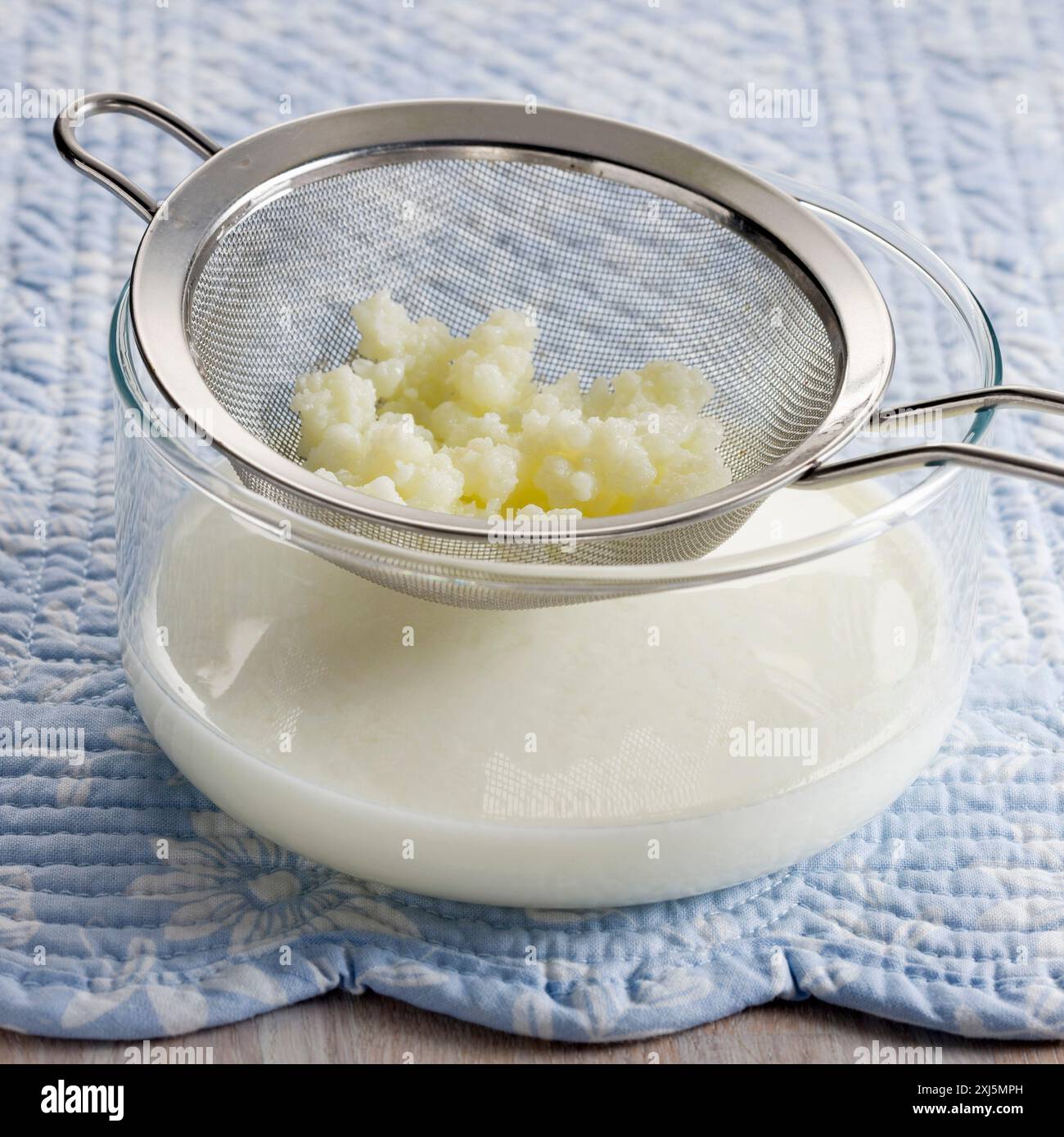 Kefir in a sieve Stock Photo - Alamy