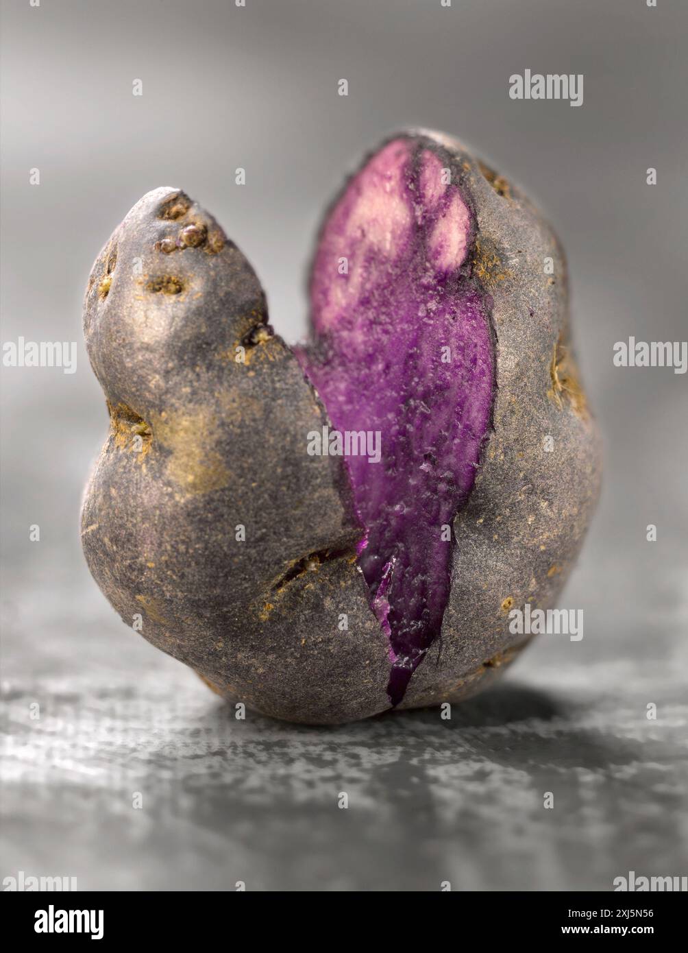 Vitelotte potato cut in half Stock Photo - Alamy