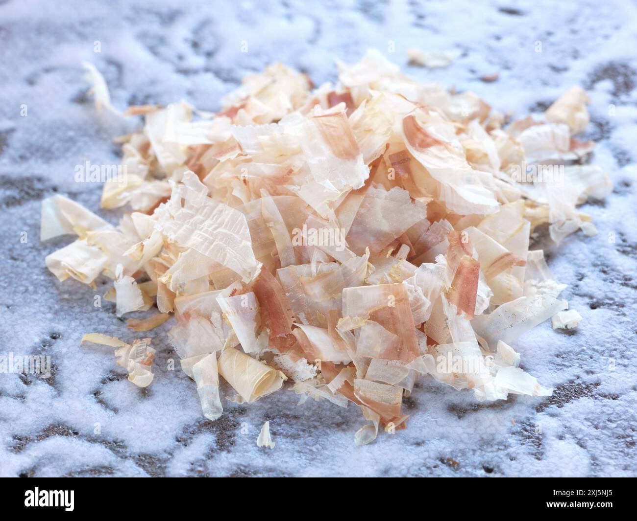 Bonito fish hi-res stock photography and images - Alamy