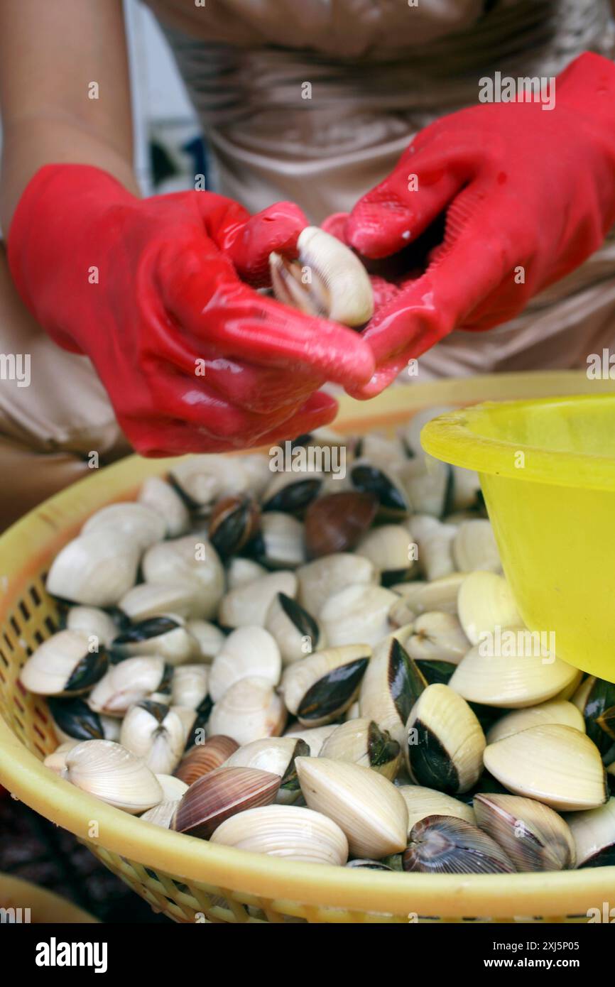 Dog cockle shellfish Stock Photo - Alamy