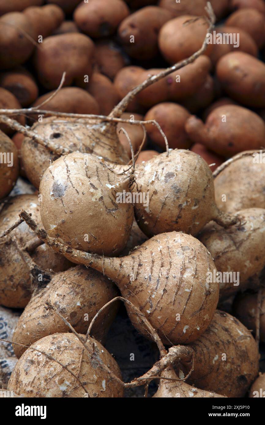 Root color hi-res stock photography and images - Alamy