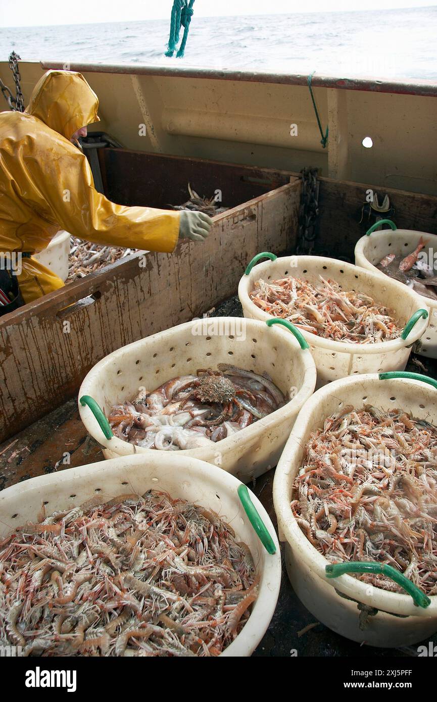 Dublin bay prawn fisherman hi-res stock photography and images - Alamy
