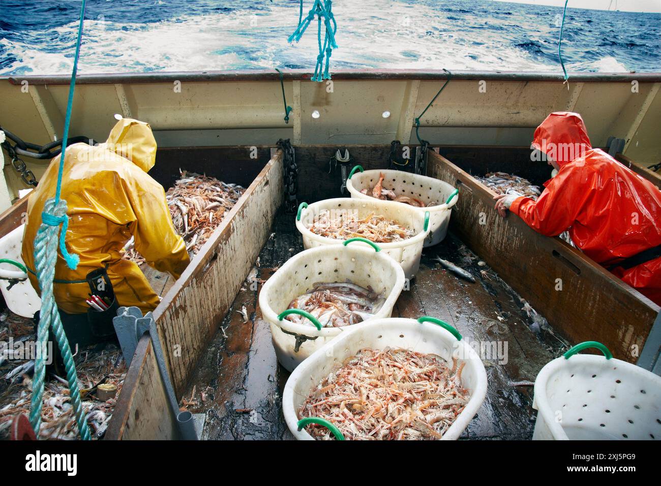 Dublin bay prawn fisherman hi-res stock photography and images - Alamy