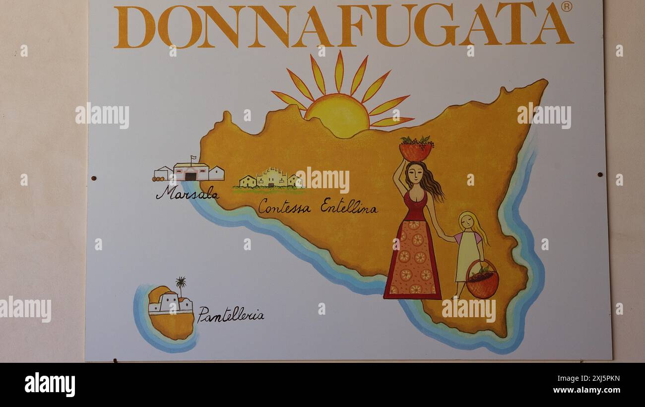 Colourful illustrated map of a winery with brand names and stylised ...