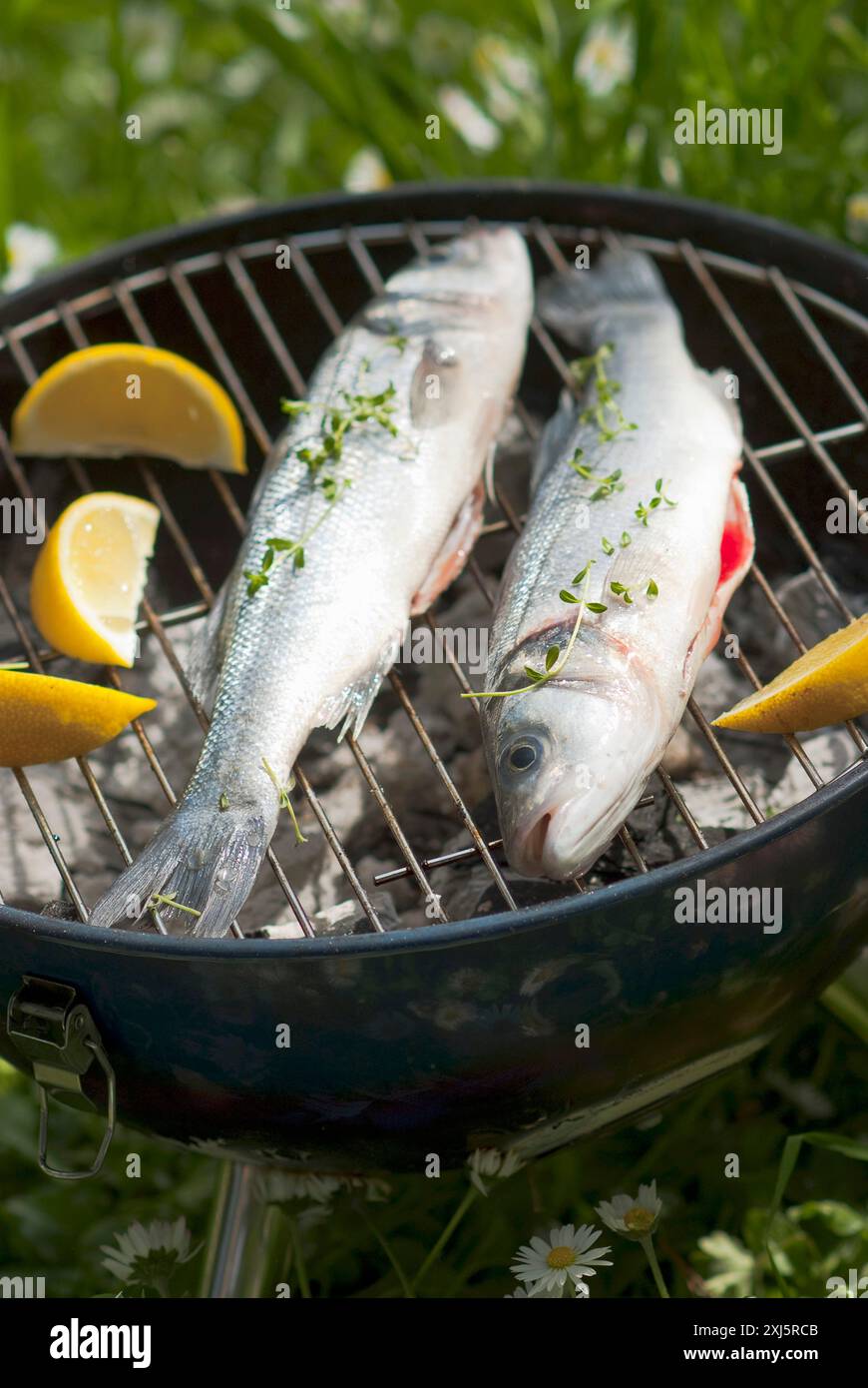 Cooking bass on the barbecue Stock Photo - Alamy