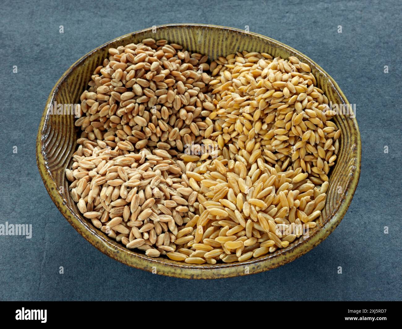 Wheat,kamut and spelt Stock Photo - Alamy