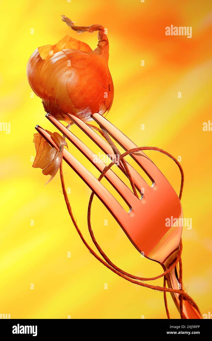 Small onion on a fork Stock Photo - Alamy