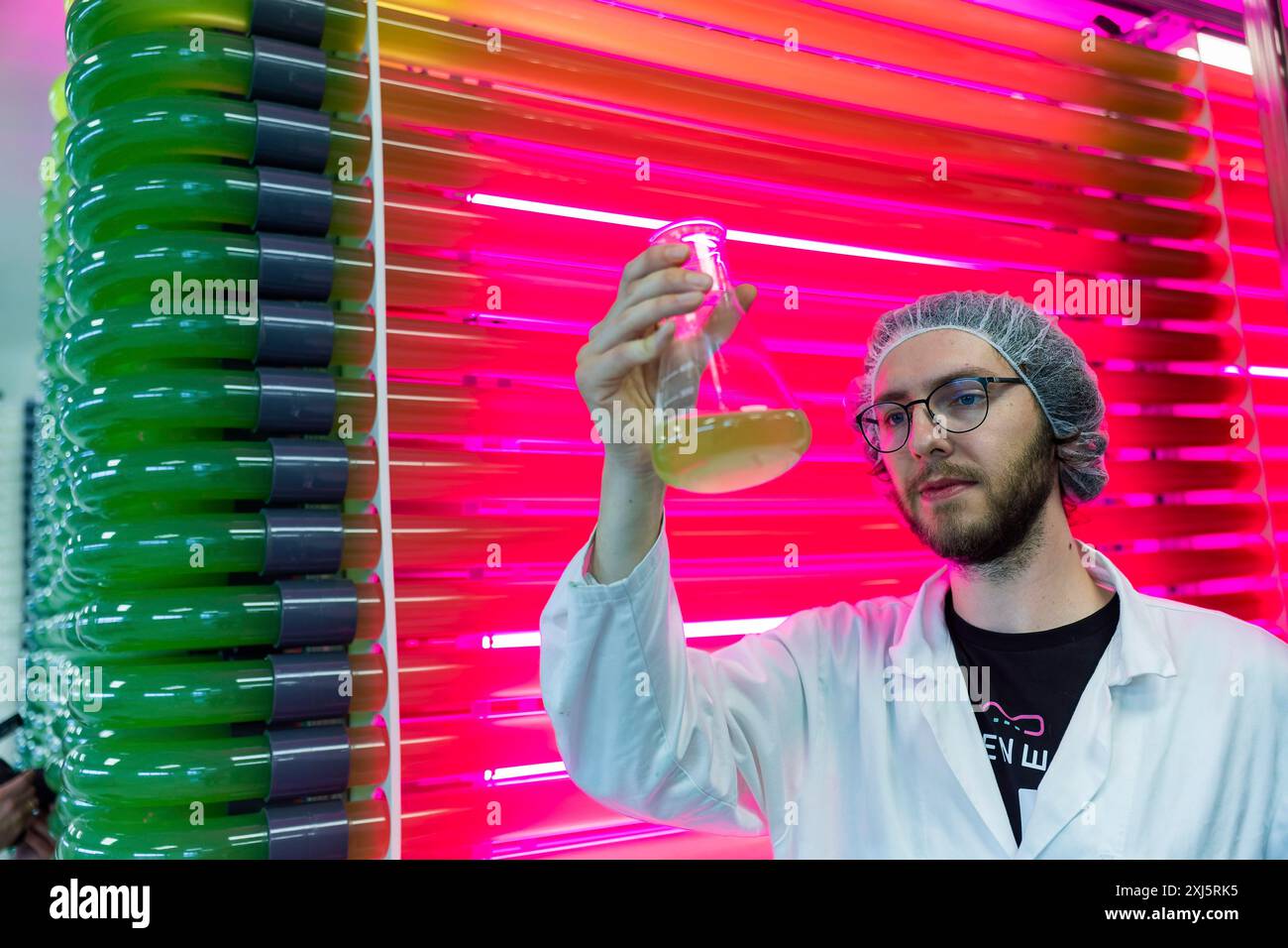 Industrial photobioreactors hi-res stock photography and images - Alamy