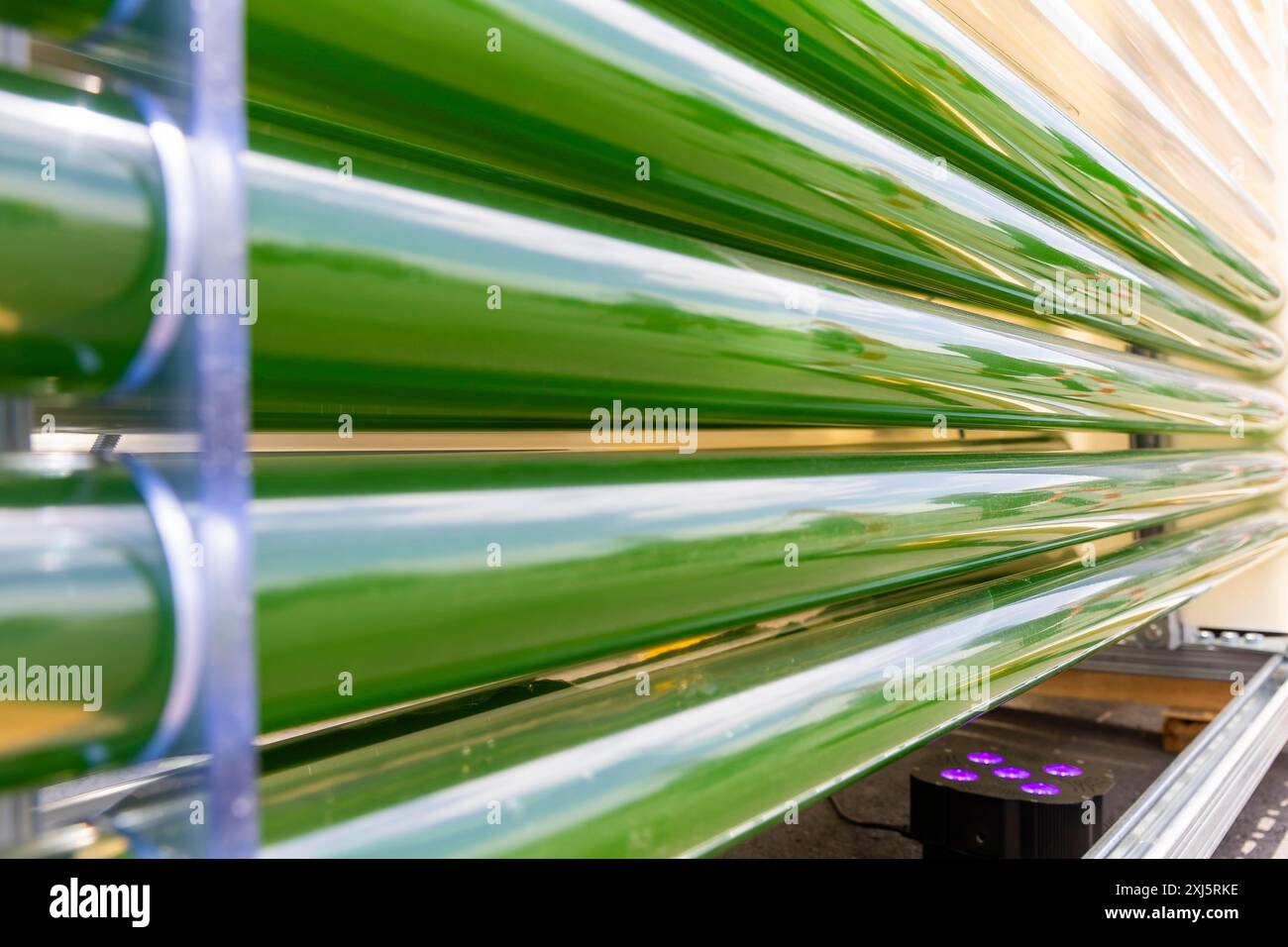 PUEVIT GmbH produces the most efficient photobioreactors for the ...