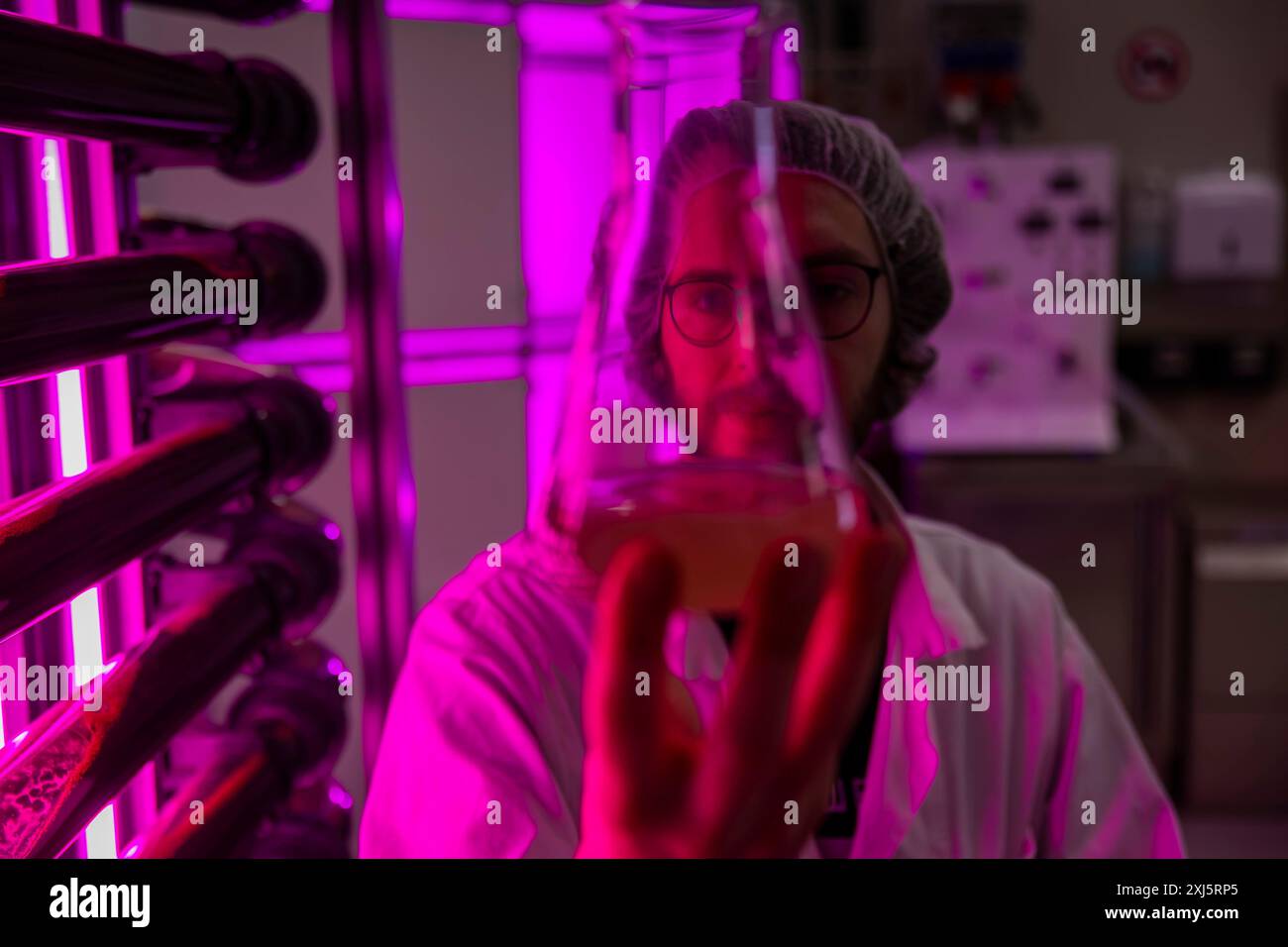 Photobioreactors hi-res stock photography and images - Alamy