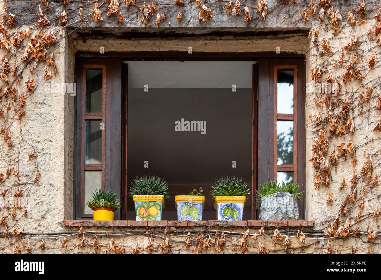 Planted flower pots, potted plants at the window in the old town centre ...