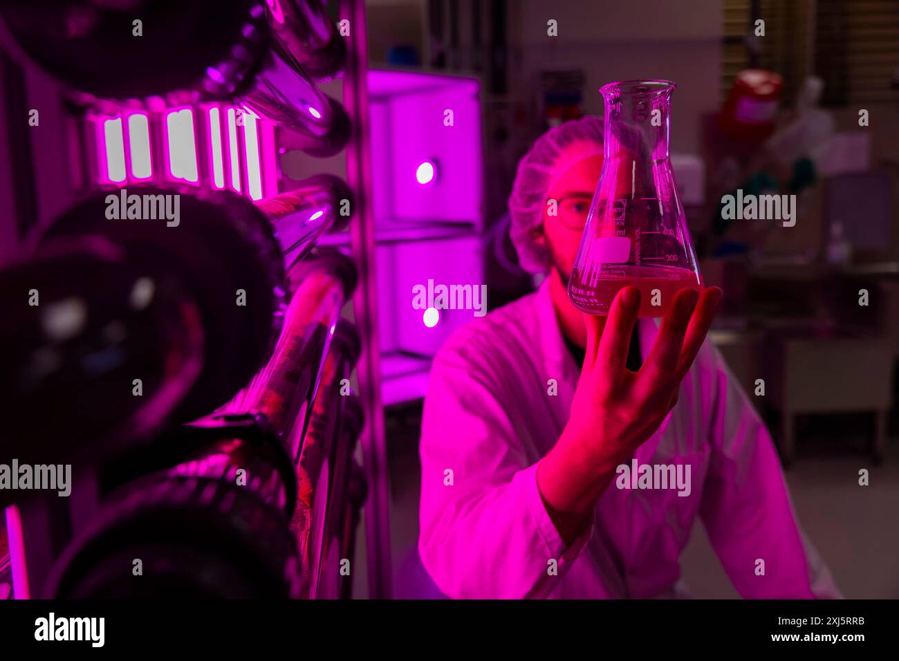 Industrial photobioreactors hi-res stock photography and images - Alamy
