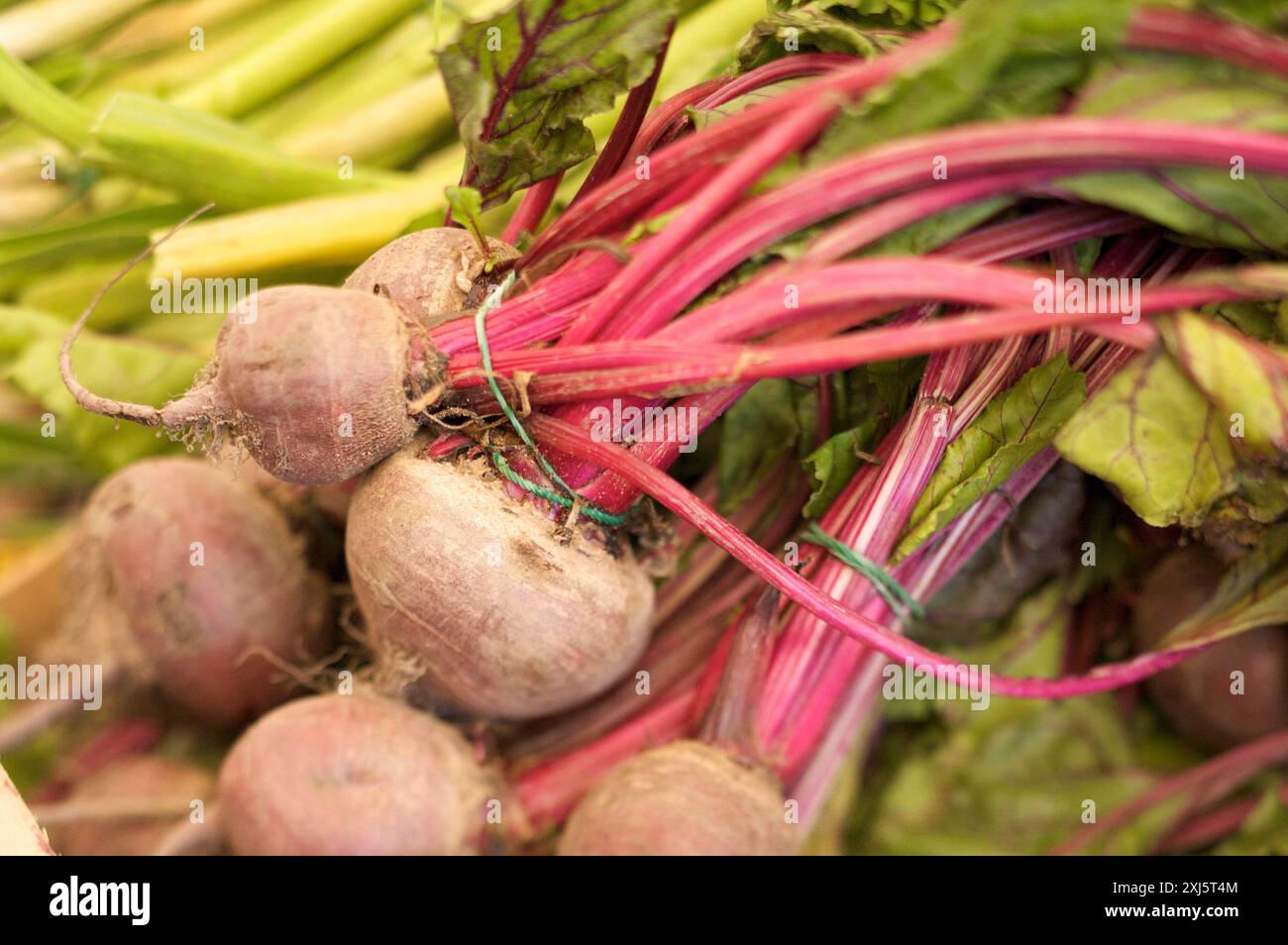 Beetroot in market stall hi-res stock photography and images - Alamy