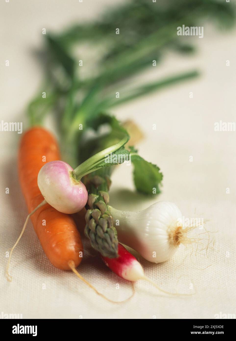 Early spring old fashioned hi-res stock photography and images - Alamy