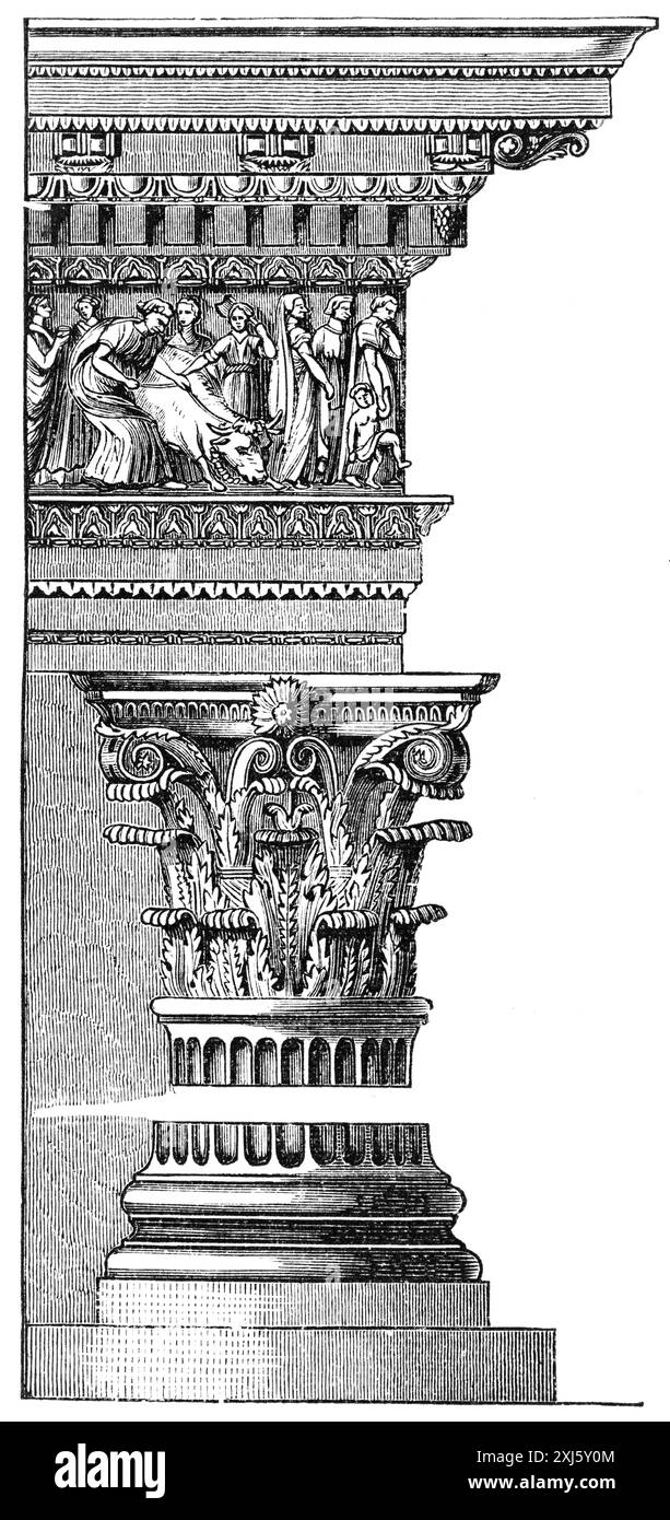 Corinthian column, floral ornaments, depiction of man, woman, bull ...