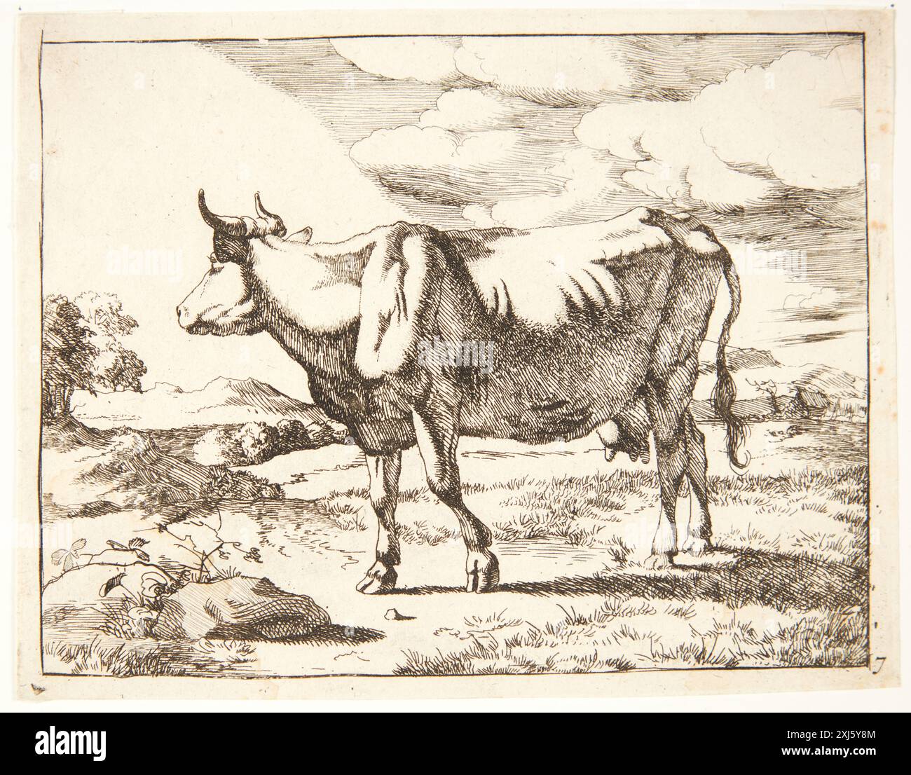 Etching by Marcus de Bye showing a cow standing and facing left, part ...