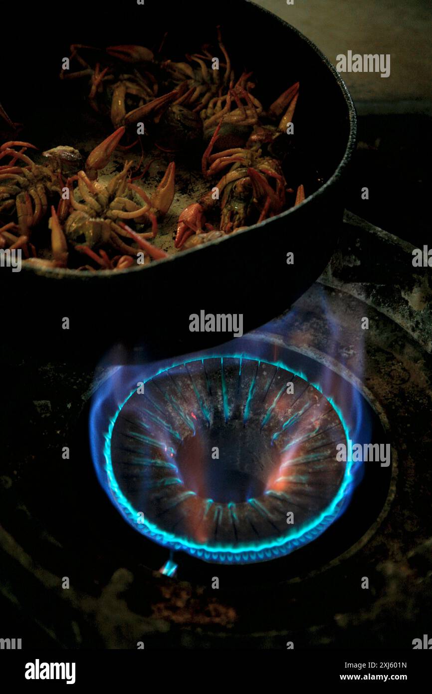 Cooking crayfish on a gaz cooker Stock Photo - Alamy