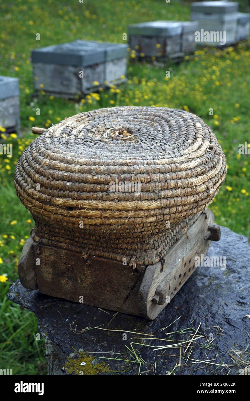 Wicker basket beehive hi-res stock photography and images - Alamy