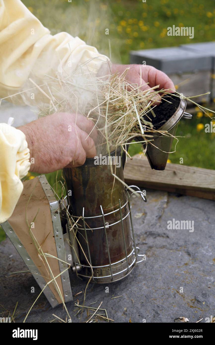 Beehive fire hi-res stock photography and images - Alamy