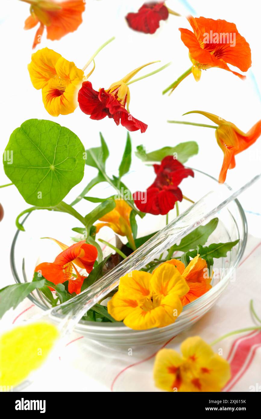 Rocket and edible flower salad Stock Photo - Alamy