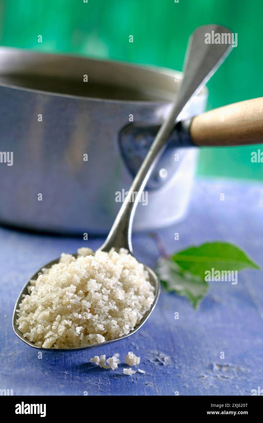 Guerande salt hi-res stock photography and images - Alamy