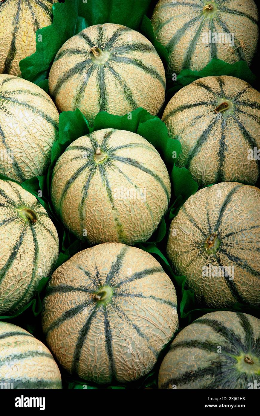 Melon melons display hi-res stock photography and images - Alamy