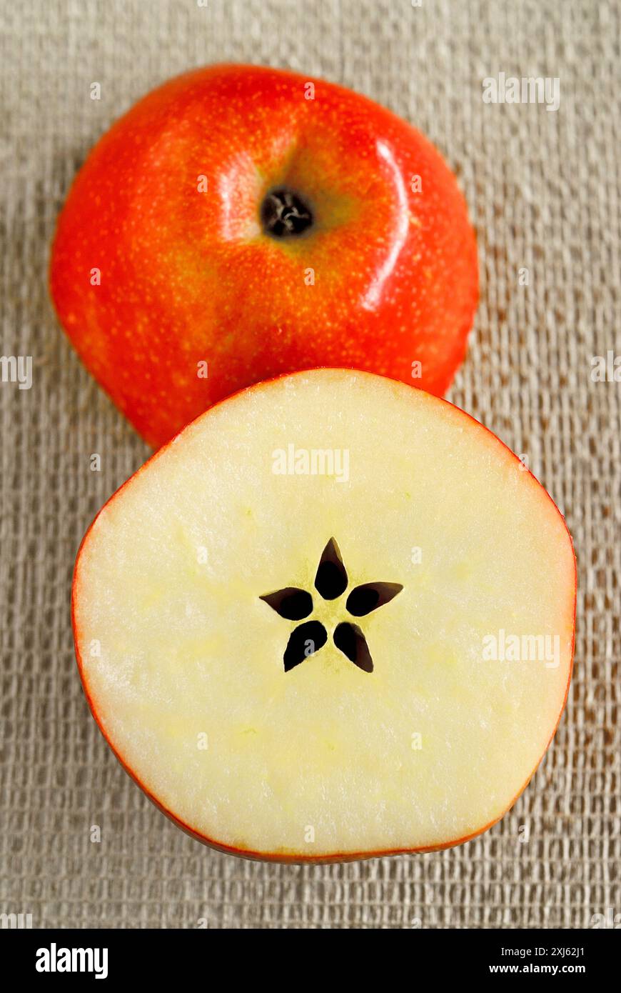 Apple cut in half Stock Photo - Alamy