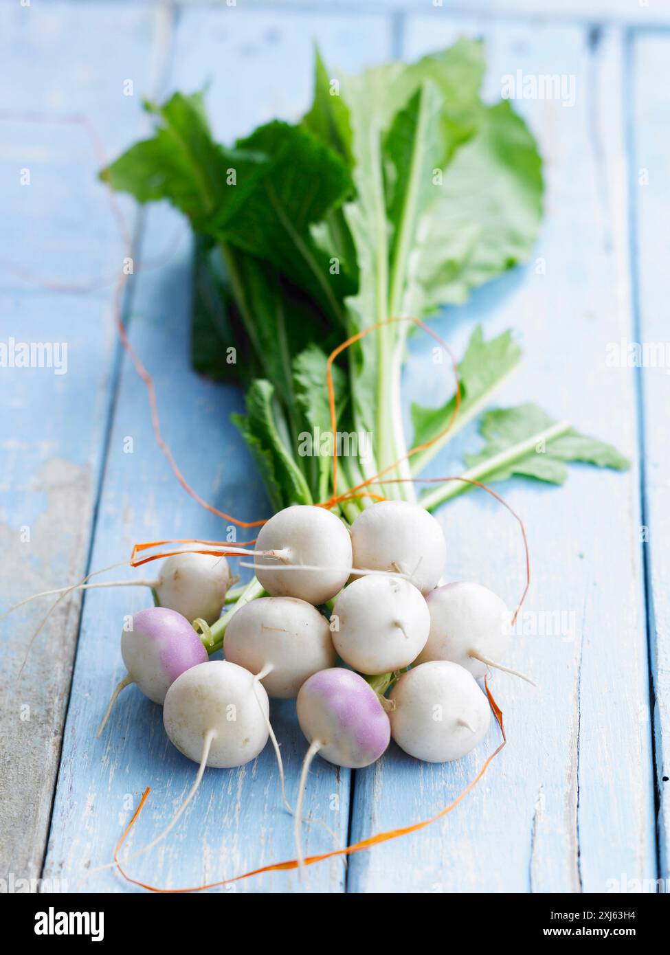 Bunch of turnips hi-res stock photography and images - Alamy