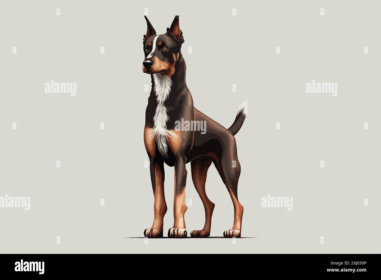 Dog full body drawing Stock Vector Images - Alamy