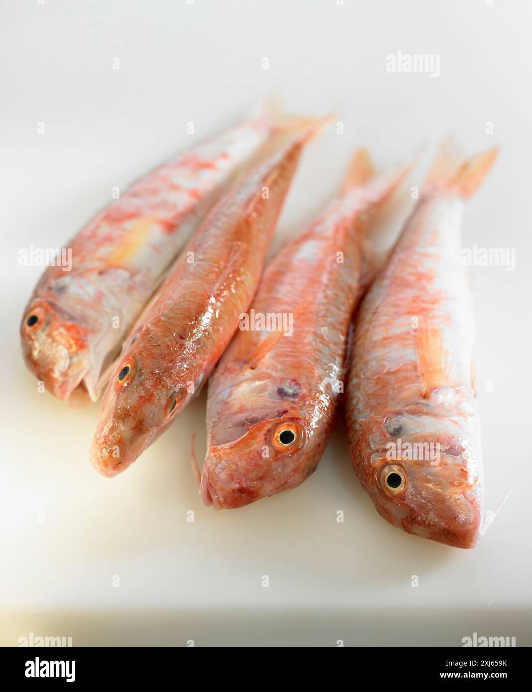 Raw red mullets Stock Photo - Alamy