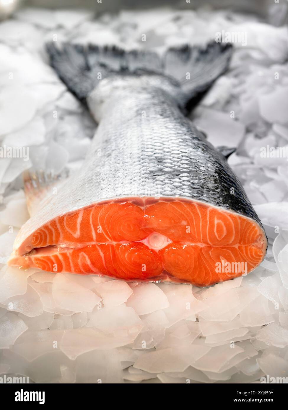 Fish tail cut hi-res stock photography and images - Alamy
